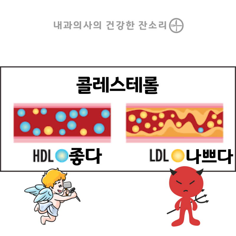 Hdl콜레스테롤 당신의 생활 습관이 보인다 네이버 블로그
