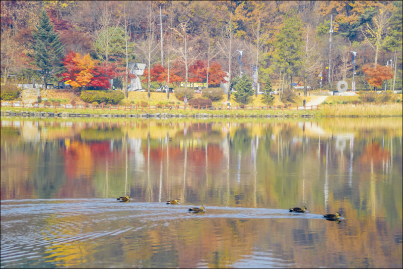 경기도 단풍명소 이천 설봉공원 마지막 단풍구경 : 네이버 블로그