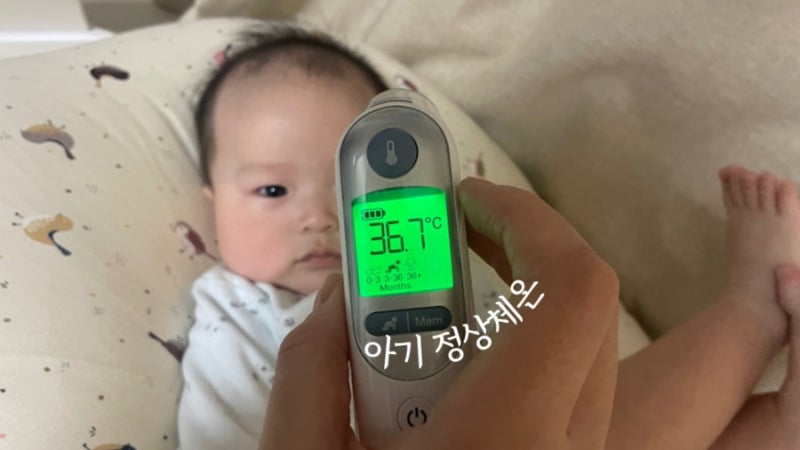 신생아 아기 기초체온 고막체온계 기준 몇도일까 네이버 블로그