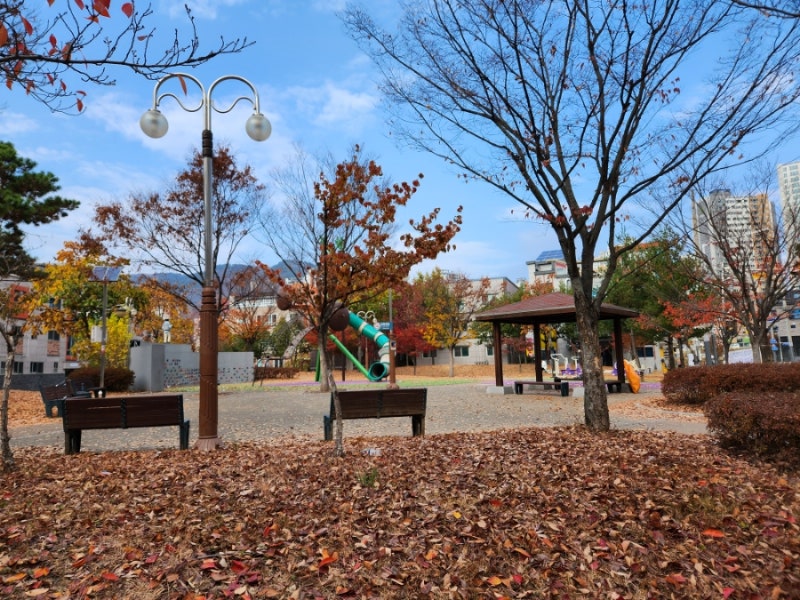구지 신축미니투룸 풀옵션 월세 공원뷰 첫입주 Ev 신축15룸 대구국가산단 달성2차산단 R 196 네이버 블로그