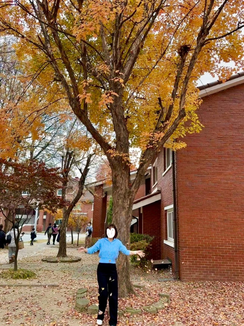 용산공원 미군기지 부분개방부지 서울 가을의 끝 포토존 네이버 블로그