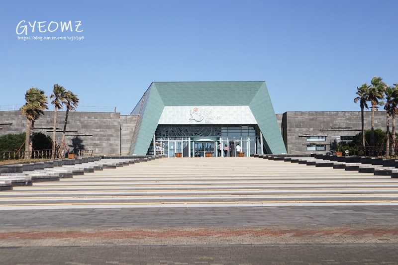 제주도 체험 아쿠아리움 제주 공연 돌고래쇼 볼거리 가득 실내 관광지 아쿠아플라넷 네이버 블로그