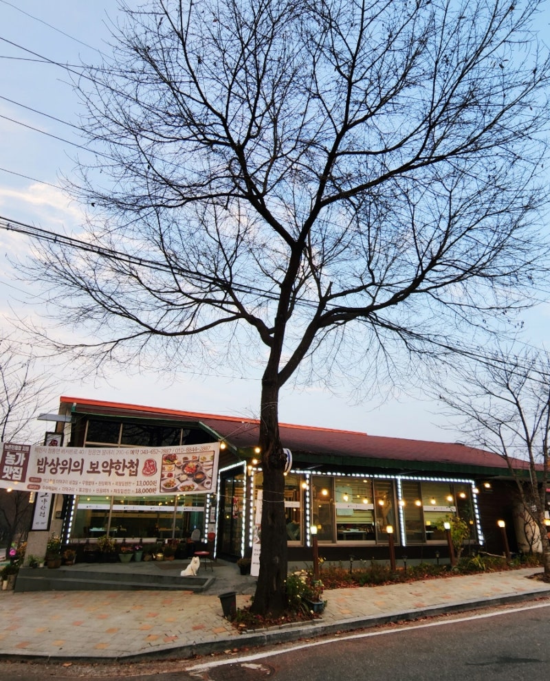 제천먹거리 청풍호 청풍문화재단지 제천 맛집 밥상위의보약한첩밥보 청풍점 식도락여행 네이버 블로그