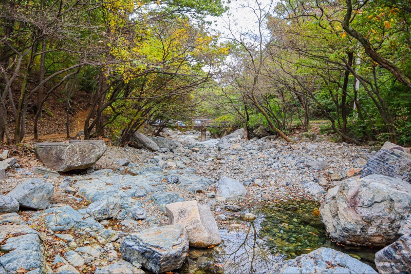 김해 장유 가볼만한곳 장유폭포 장유사 대청계곡 부산 근교 드라이브 네이버 블로그