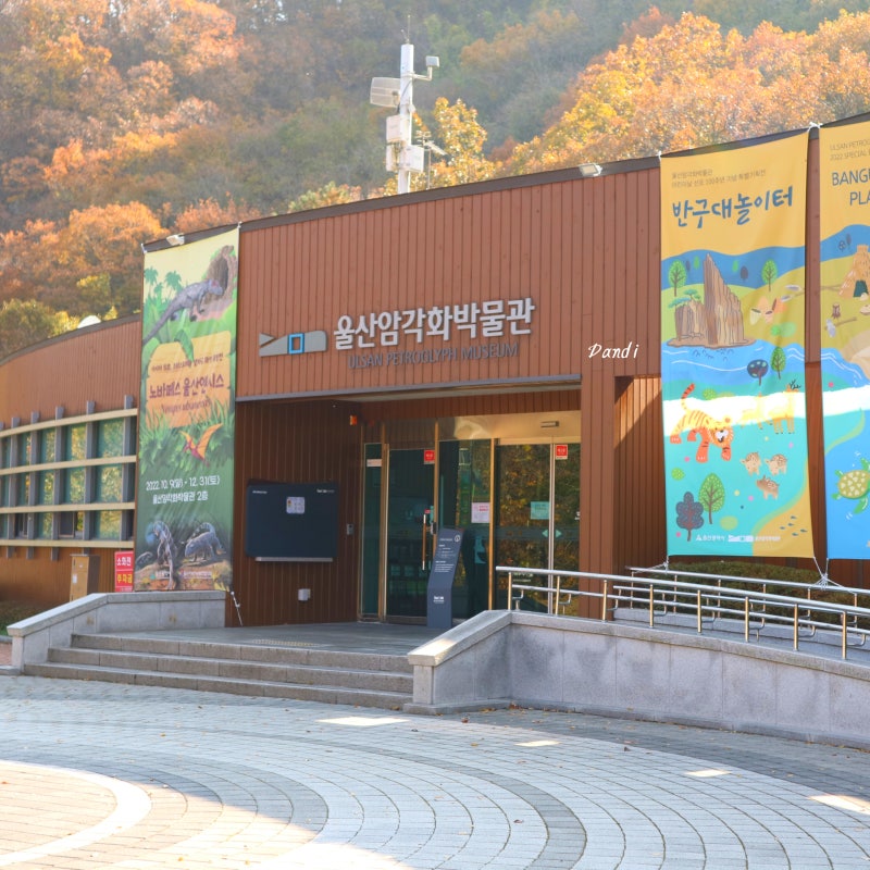 울산 울주군 아이와 가볼만한곳 반구대 암각화 박물관 네이버 블로그