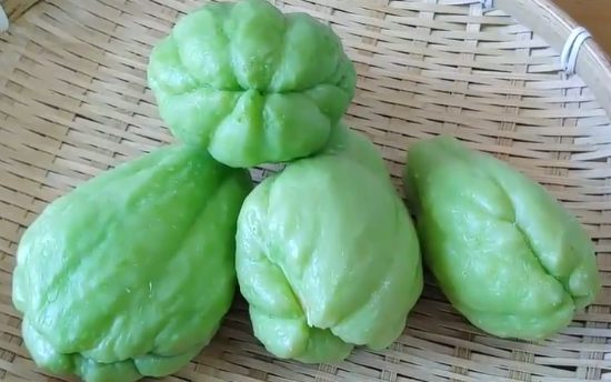 차요테 효능 치매 예방 다이어트에 좋은 음식 먹는법 부작용 주의 네이버 블로그
