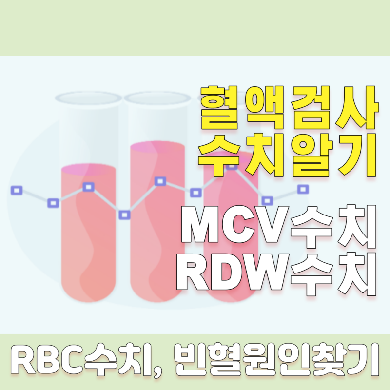 MCV 수치, RDW 수치 알기. 빈혈의 원인 파악하자 : 네이버 블로그