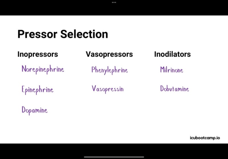 노르에피네프린, 바소프레신, Epinephrine, Phenylephrine (Vasopressor 승압제 종류 공부하기 ...