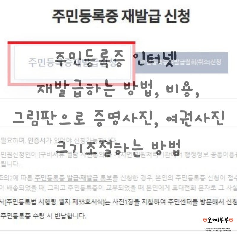 주민등록증 인터넷 재발급하는 방법 비용 그림판으로 증명사진 여권사진크기조절하는 방법 네이버 블로그