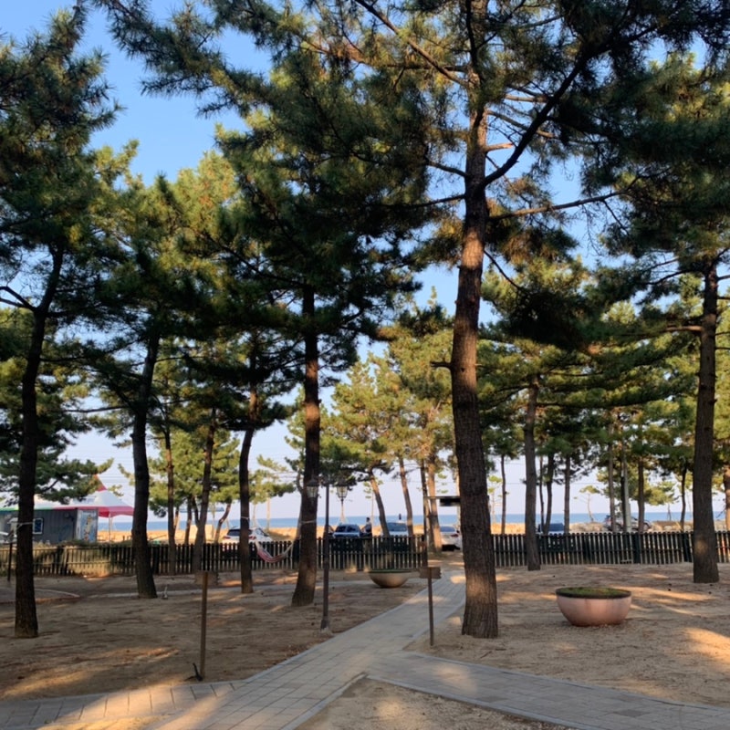 강원도 양양 바다 앞 글램핑 추천 트리플펜션and글램핑” 네이버 블로그