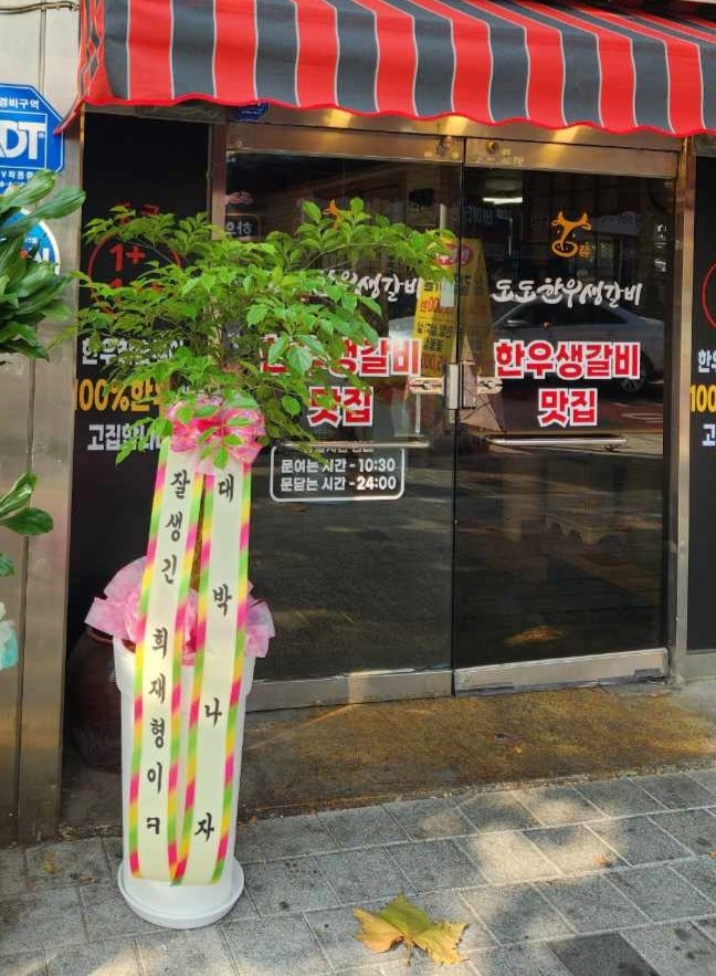 대구 개업화분 대구승진화분대구화분카페개업화분대구전시회화분부동산개업화분식당개업화분네일샵개업화분회사개업화분학원개업