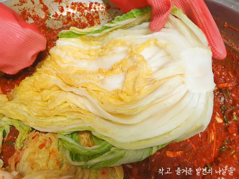 절임배추 20kg 김장 김치 만들기 배추 포기김치 만드는법 김치속 양념 재료 네이버 블로그