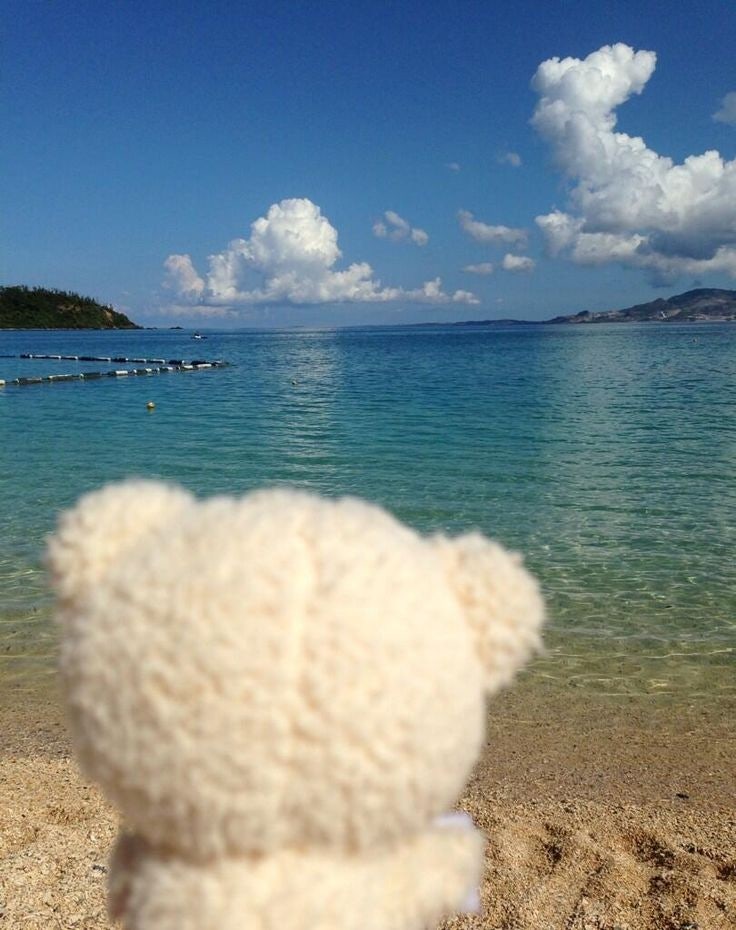 ๐งธ๊ท์ฌ์ด ๊ณฐ๋์ด ์ธ์คํ ์นดํก ํ์ฌ ์ธํ ์ฌ์ง ๋ชจ์๐งธ ๋ค์ด๋ฒ ๋ธ๋ก๊ทธ