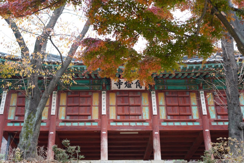 강화 가볼만한곳 강화도 여행 코스 3 전등사 단풍 볼거리 네이버 블로그