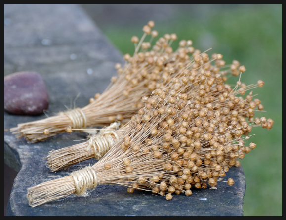 [곡물 영어이름] 시리얼과 먹는 슈퍼푸드superfood:치아씨드,아마씨,햄프씨드,카카오닙스,오트밀 효능&영어로 : 네이버 블로그