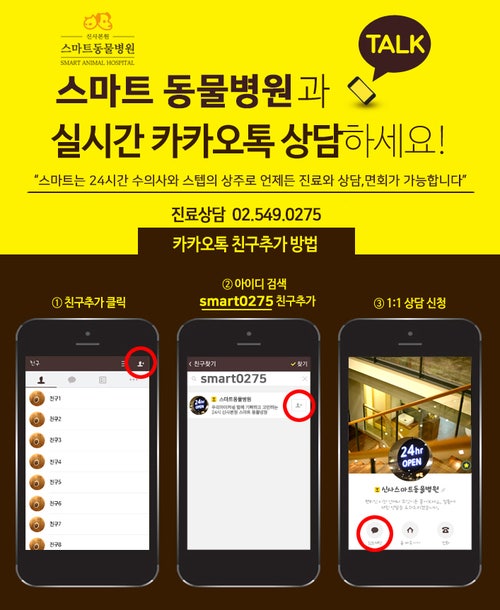 고양이 치아 흡수성 병변 (Feline Odontoclastic Resorption Lesion, FORL) : 네이버 블로그