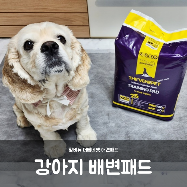 강아지배변패드 발도장 걱정 없는 앙비뉴 애견패드 네이버 블로그