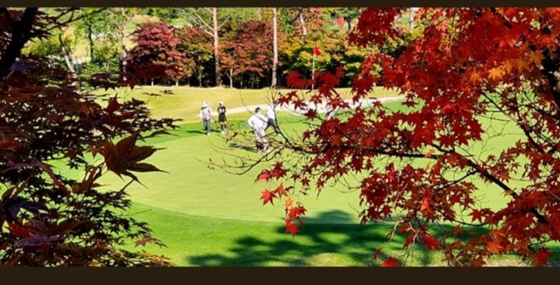 수성구 골프 레슨잘하는 곳경산골프레슨중산지구 골프레슨 네이버 블로그