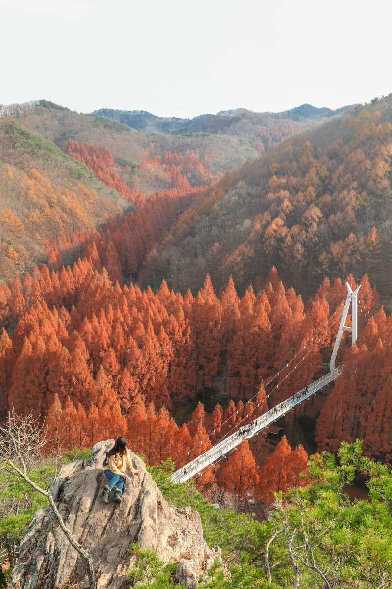 11월 3주차 주간일기 : 네이버 블로그