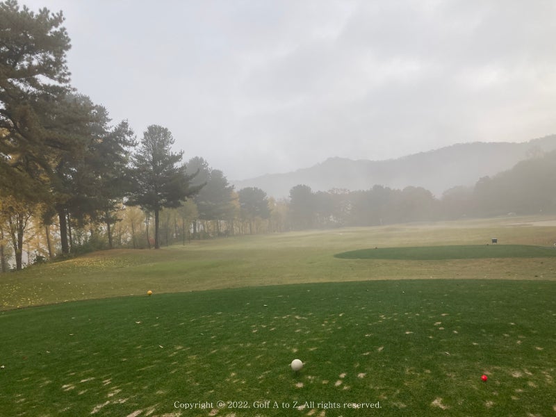 용인 레이크사이드cc (1) 동코스 전반 라운딩 후기 (+ 그린피, 그늘집) : 네이버 블로그