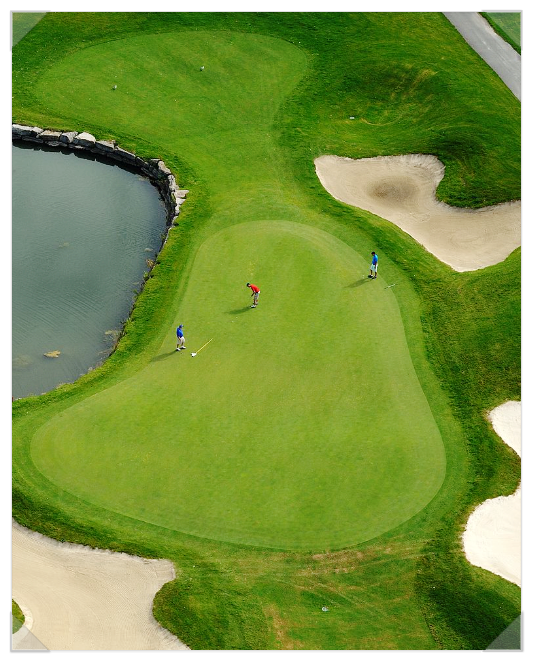 골프용어 양파 쉽게 이해하는 방법! : 네이버 블로그