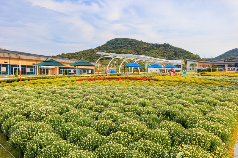 순창 아이와 가볼만한곳 순창 발효테마파크 발효소스토굴 푸드사이언스관 네이버 블로그