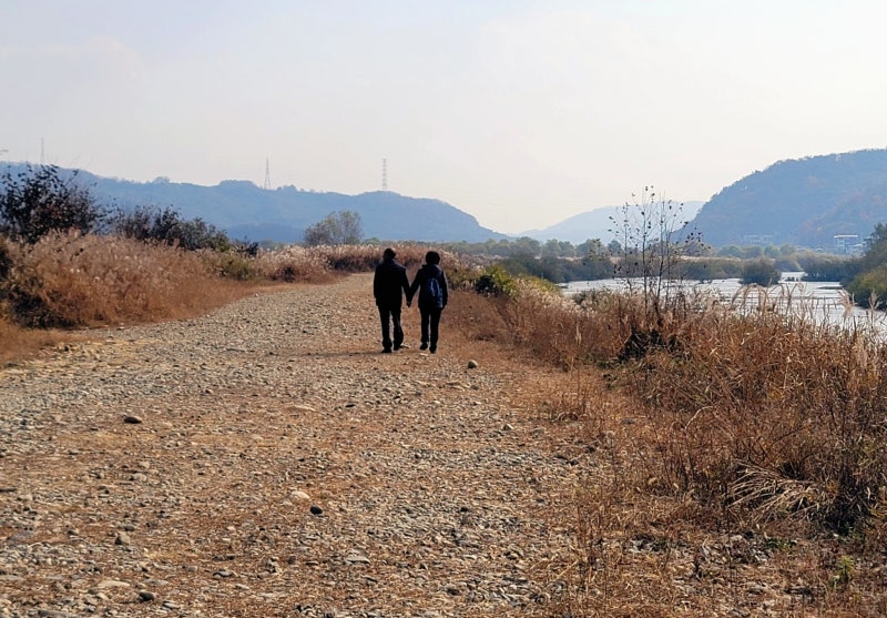 충주 비내섬 꾸미지 않고 때묻지 않은 멋 비내길 트레킹 : 네이버 블로그