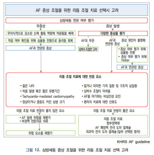 심방세동의 치료 Atrial Fibrillation A Fib Af 네이버 블로그