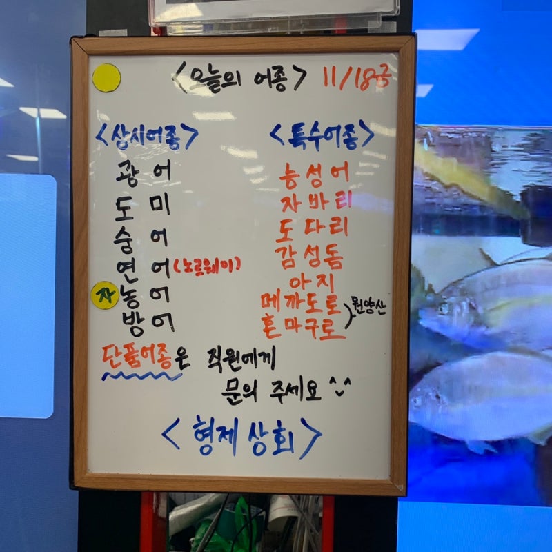 노량진동 노량진수산시장 충남미림 형제상회 진주식당 김씨마구로킴스비어 네이버 블로그