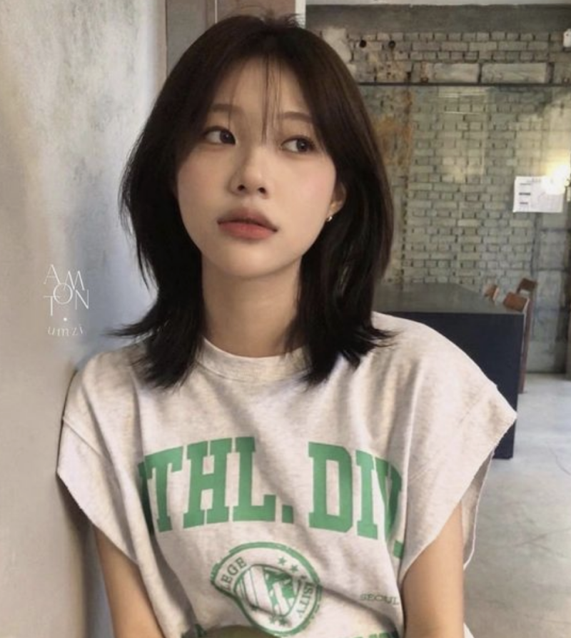 연예인 단발 And 중단발 레이어드컷 Vs 허쉬컷 차이 알고 해야 네이버 블로그