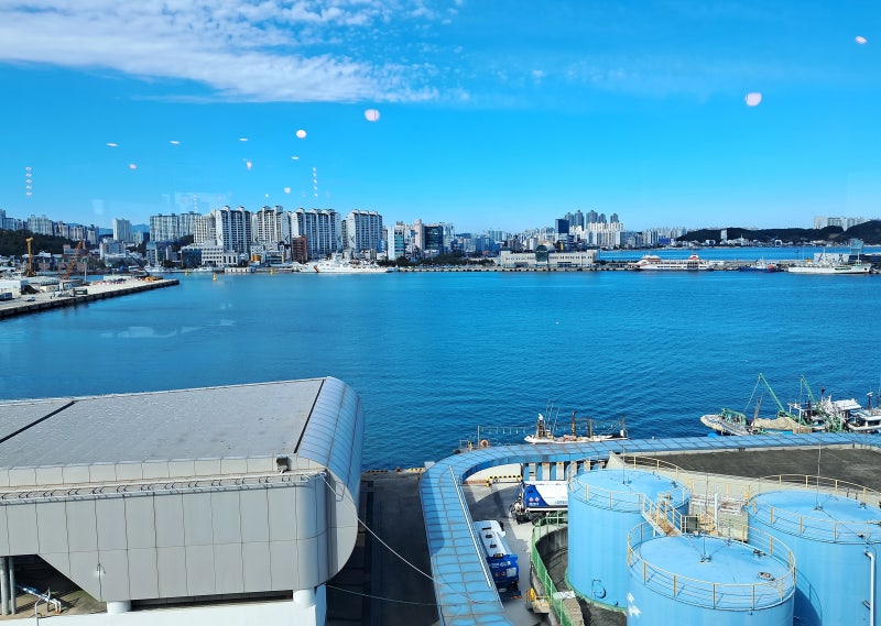 포항 송도활어회센터 360도 회전식 전망대 커피숍카페 네이버 블로그