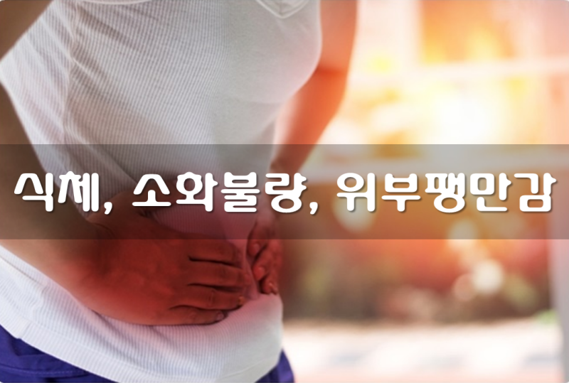 소체환 쿨맨환 한방약 한방소화제 약국약 가격 성분 용법 주의사항 보관 부작용 가격 효과 네이버 블로그