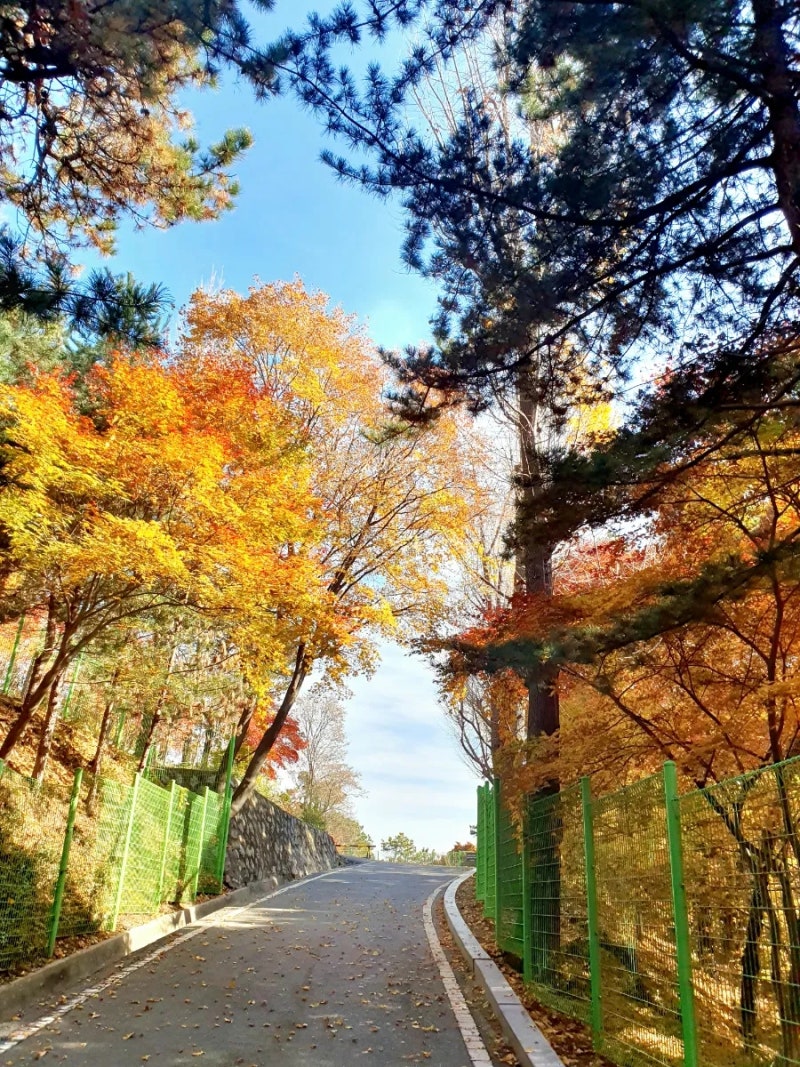 현충원길 동작충효길 걸어보기 동작역 서달산 동작역 네이버 블로그
