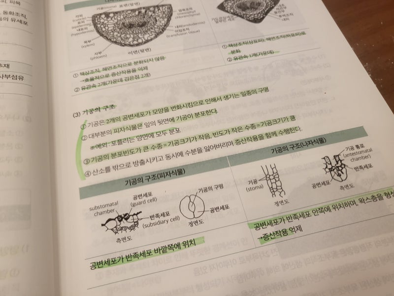 나무의사 자격증 시험 정보 알아보기응시자격 일정 등 네이버 블로그