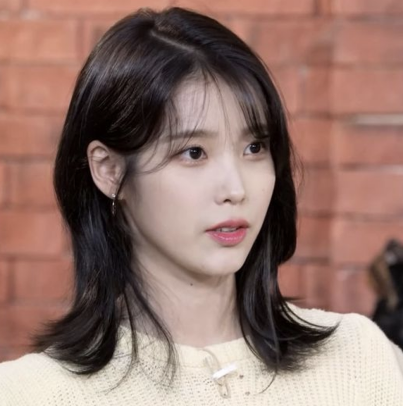 연예인 단발 And 중단발 레이어드컷 Vs 허쉬컷 차이 알고 해야 네이버 블로그