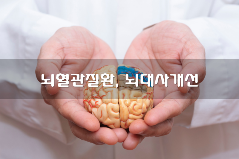 글리아타민정 뇌영양제 뇌기능개선제 치매 처방 성분 용법 금기 부작용 그리아정 글리아티린 연질캡슐 네이버 블로그