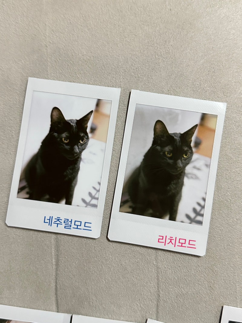 후지필름 인스탁스 미니 에보 사용 후기 및 사용법과 장단점 폴라로이드 카메라 포토프린터 네이버 블로그