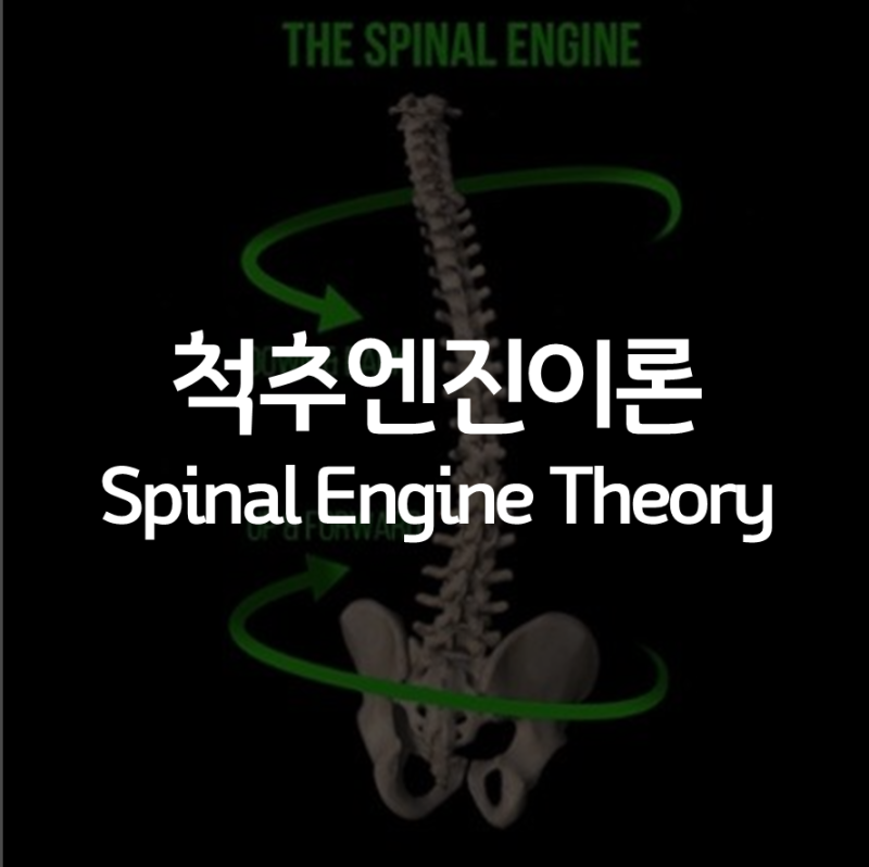 척추엔진이론(Spinal Engine Theory) : 네이버 블로그