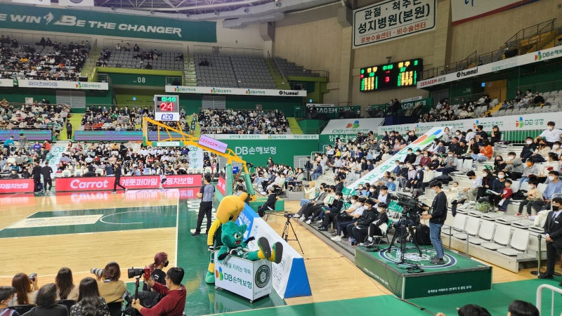 원주 Db 프로미 농구 홈경기 직관 원주종합체육관 방문기 네이버 블로그