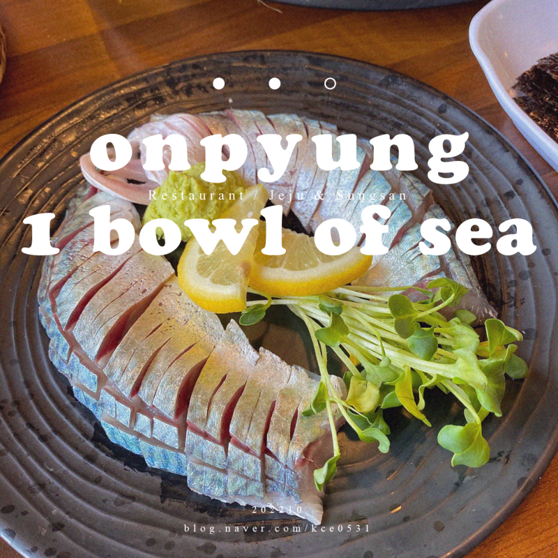 제주 바다 보면서 즐기는 해산물과 고등어회 온평바다한그릇” 제주 성산 맛집 추천 네이버 블로그
