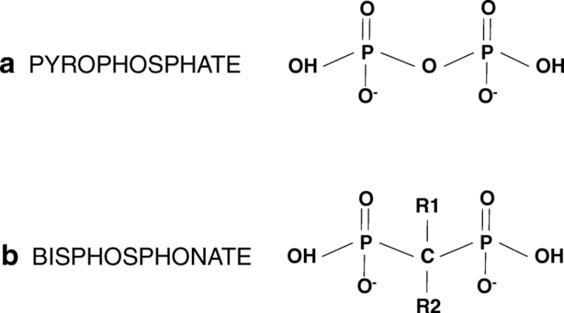 [약물치료학] #80. 골다공증 치료제 Bisphosphonates(비스포스포네이트) 복용방법, 부작용 : 네이버 블로그