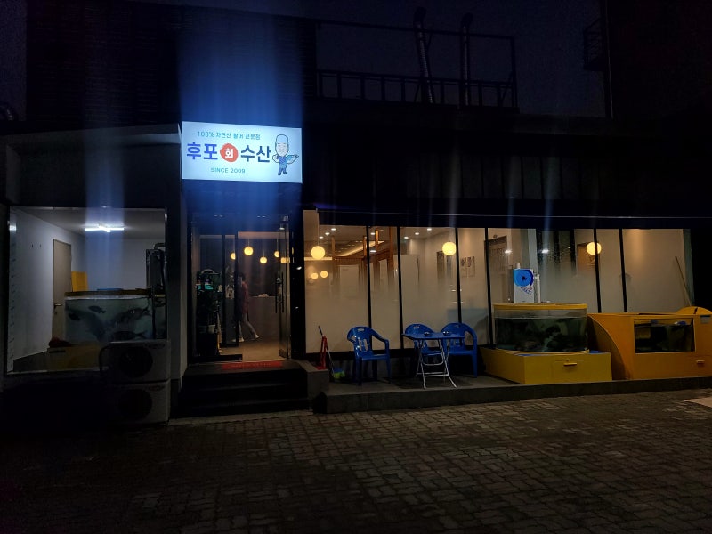 대구 수성구로 온 후포회수산 대방어 맛집 자연산 횟집 네이버 블로그