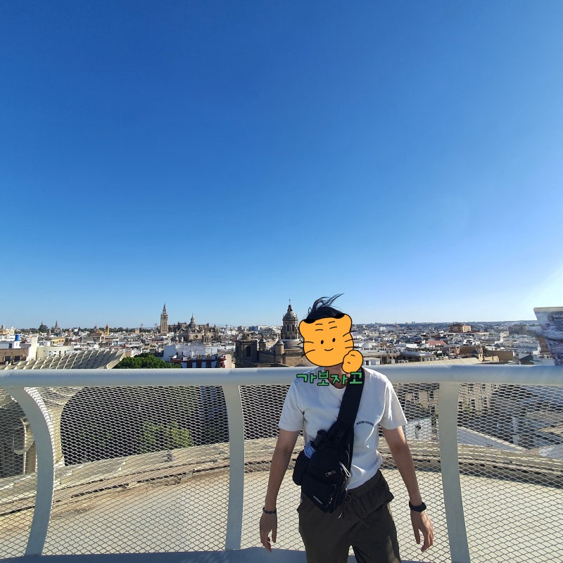 세비야 여행 메트로폴 파라솔 Metropol Parasol 전망대 입장료 5유로 라스 세타스 데 세비야 Las Setas