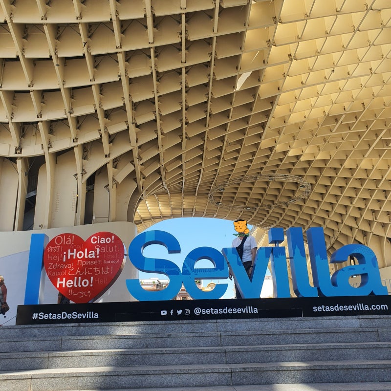 세비야 여행 메트로폴 파라솔 Metropol Parasol 전망대 입장료 5유로 라스 세타스 데 세비야 Las Setas
