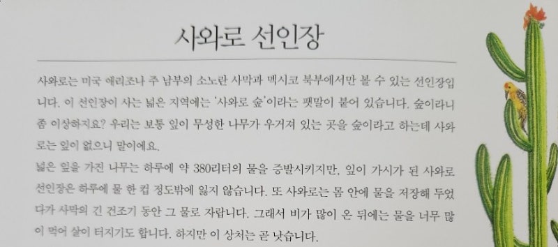 마음이크고생각이크는책읽기 독후화 그리기 Feat 선인장 호텔 을 읽고 네이버 블로그