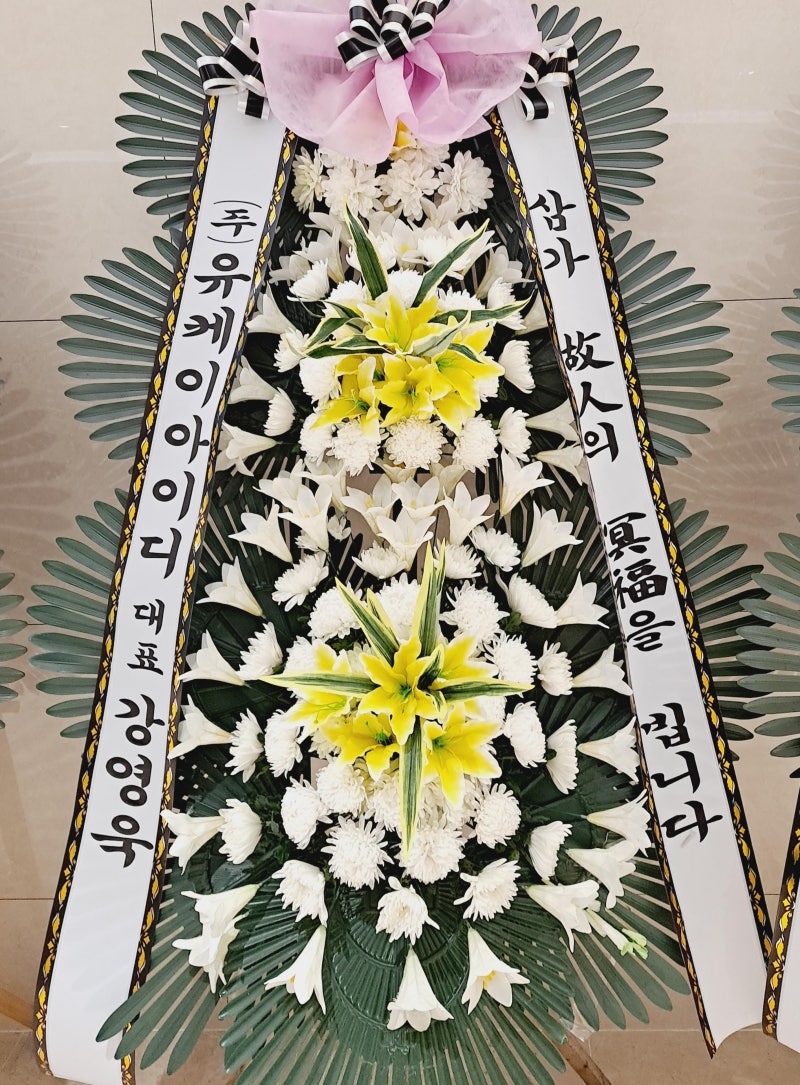 세종충남대학교병원장례식장 은하수공원장례식장조치원장례식장중앙요양병원장례식장서세종농협장례식장한마음효장례식장세종시근조화환