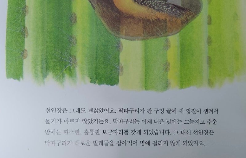 마음이크고생각이크는책읽기 독후화 그리기 Feat 선인장 호텔 을 읽고 네이버 블로그