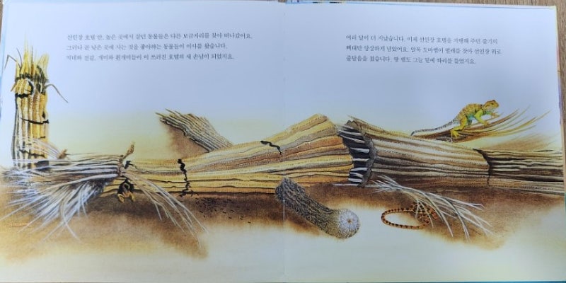 마음이크고생각이크는책읽기 독후화 그리기 Feat 선인장 호텔 을 읽고 네이버 블로그