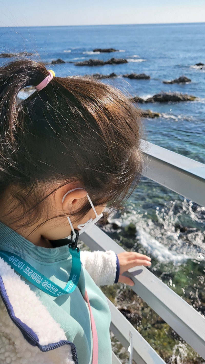 울진 가볼만한곳 죽변해안 스카이레일 예약 방법 네이버 블로그