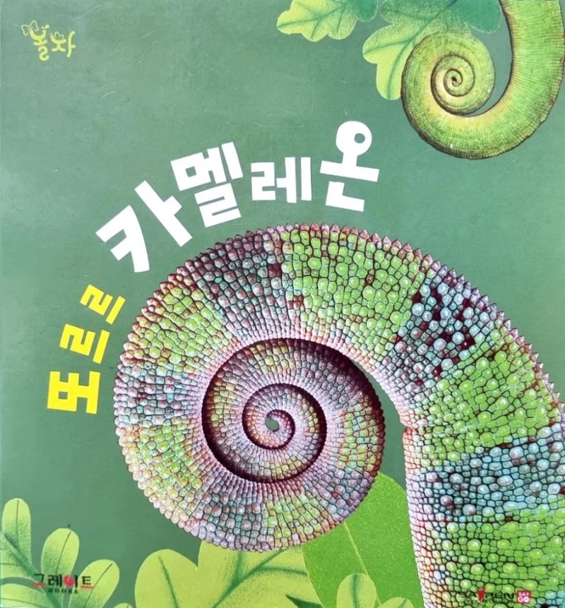 부산놀라운자연우리자연이랑비교하기변신카멜레온 또르르카멜레온 자연관찰잘구매하기 키다리어린이서점 네이버 블로그